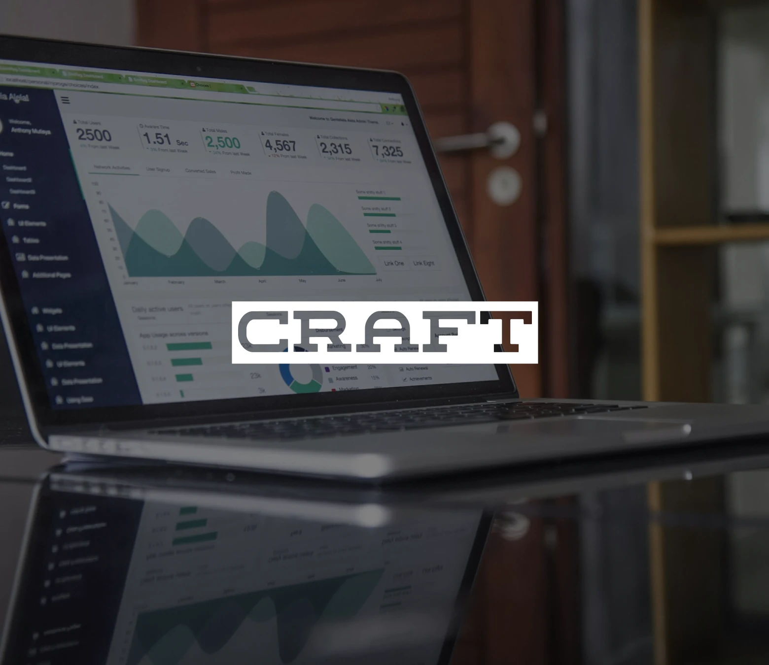 Newsoft - Software Development Company