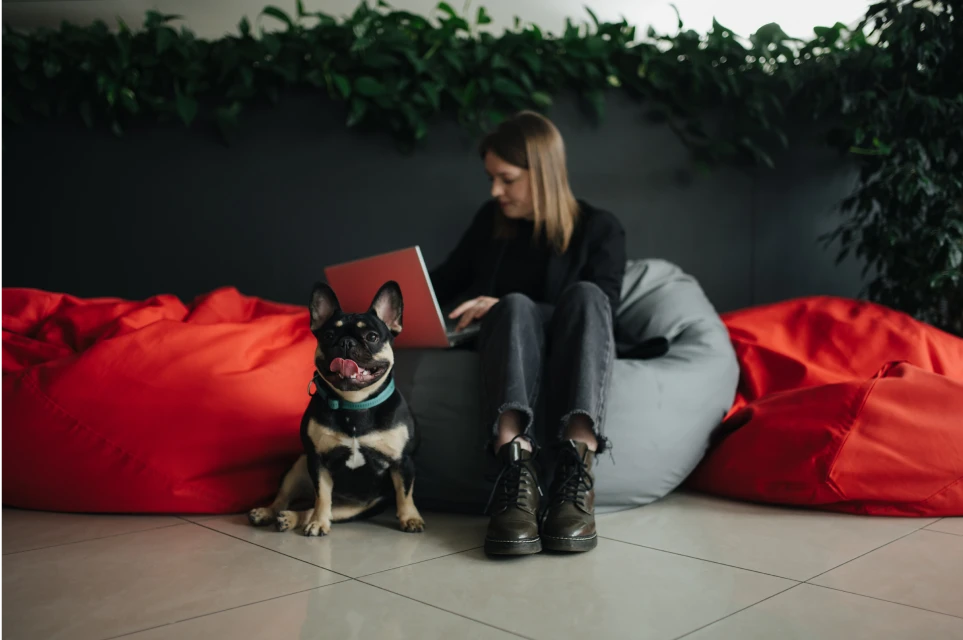 Newsoft - Software Development Company